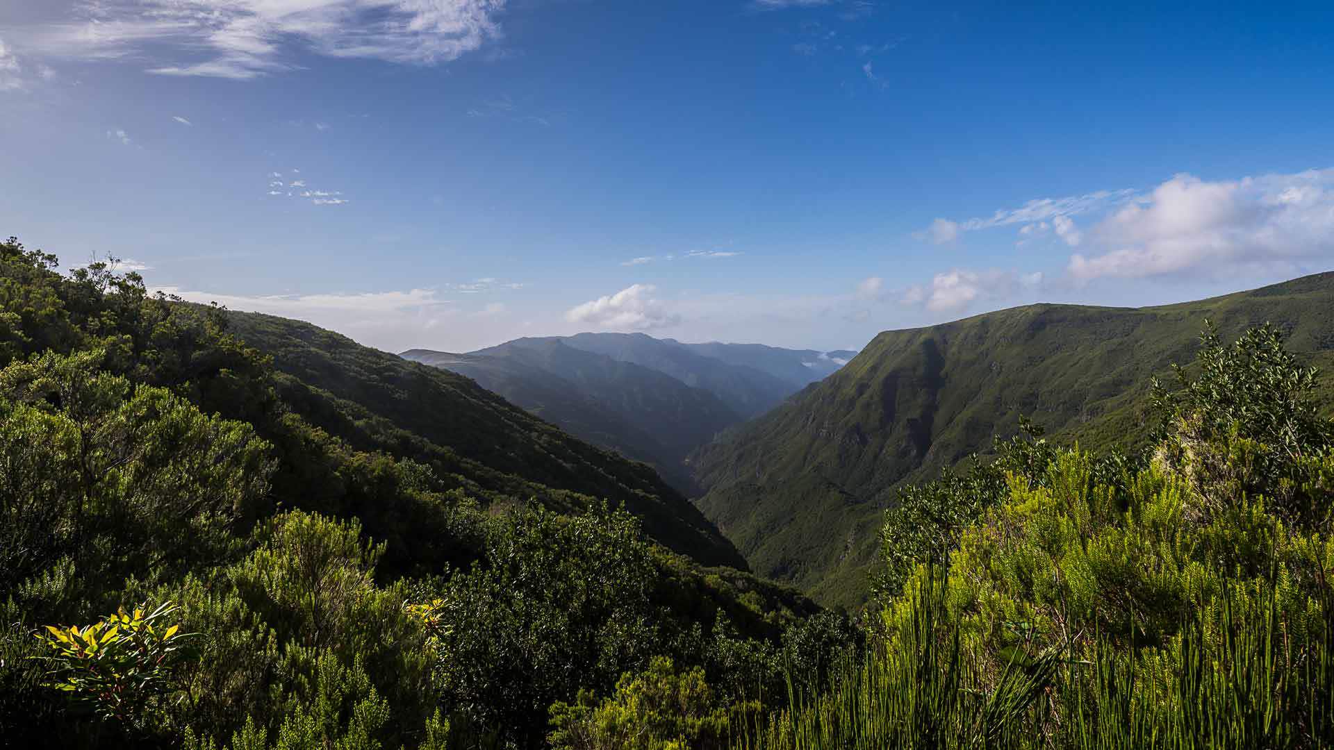 PR 6.2 - Levada do Alecrim - Visit Madeira | Site oficial do Turismo da ...