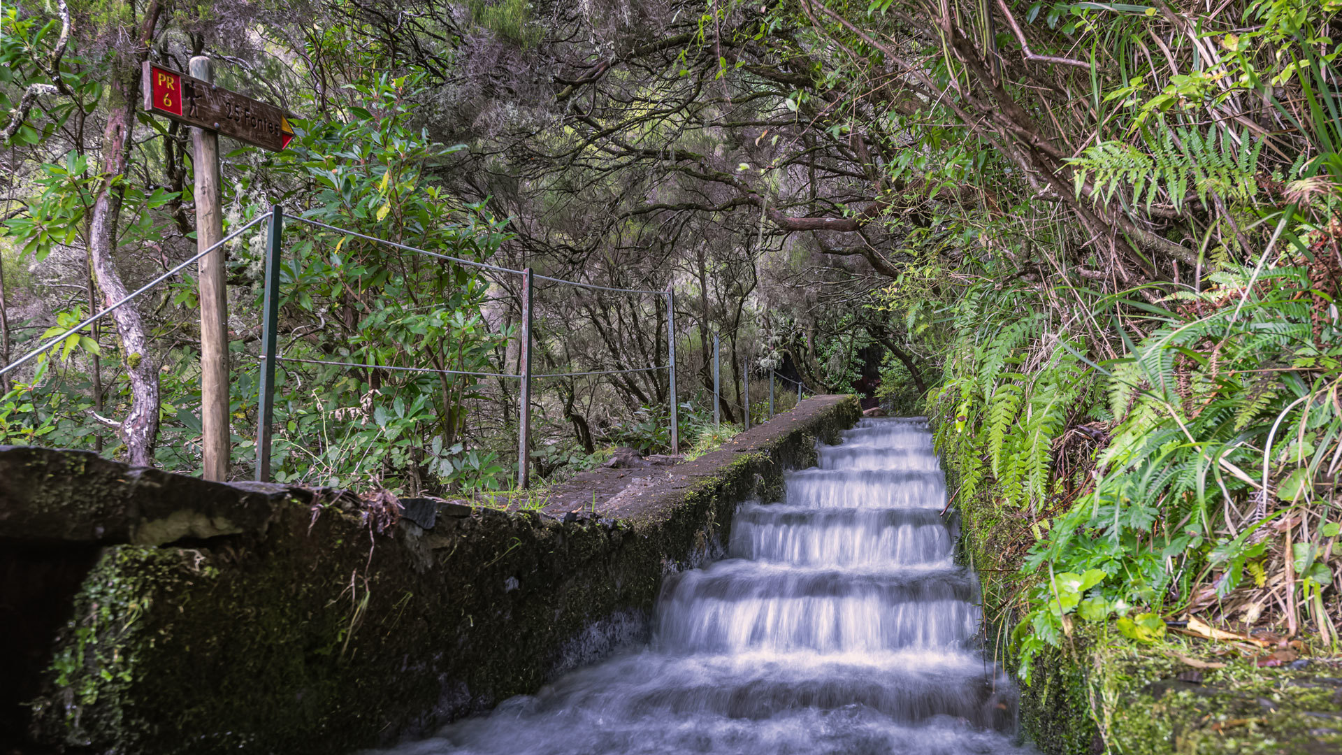 Welcome to Madeira and Porto Santo - Visit Madeira | Madeira Islands ...
