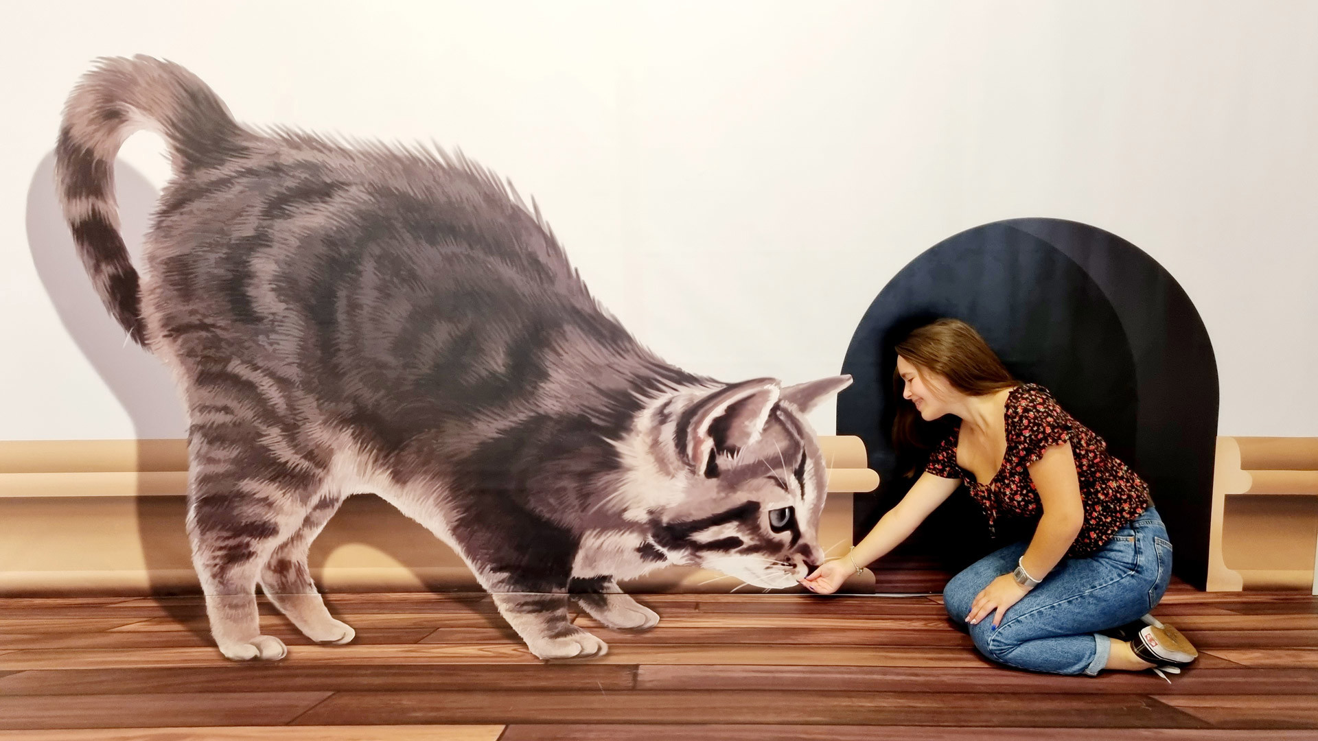 Museo de Arte 3D Fun - Visit Madeira | Sitio web oficial de la Oficina ...