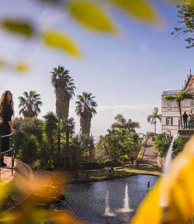 Jardins Funchal - Visit Madeira | Site oficial do Turismo da Madeira