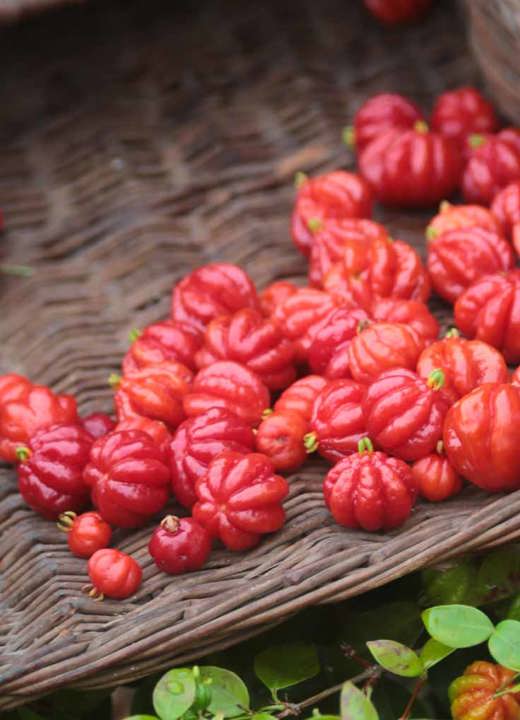 Traditional Madeira Food - Visit Madeira | Madeira Islands Tourism ...