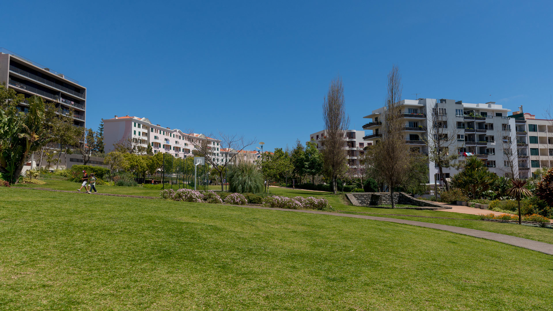 Funchal Gardens - Visit Madeira | Madeira Islands Tourism Board ...