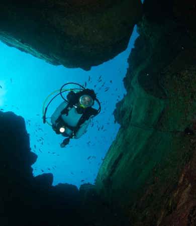 Diving - Visit Madeira | Madeira Islands Tourism Board official website